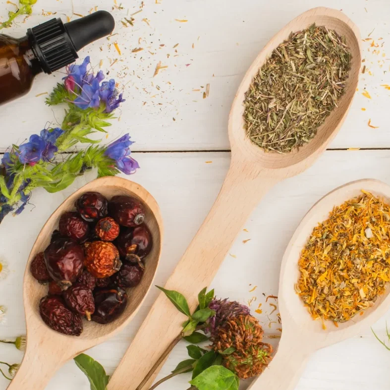 The 11 essential qualities of the naturopath: pillars of holistic ...